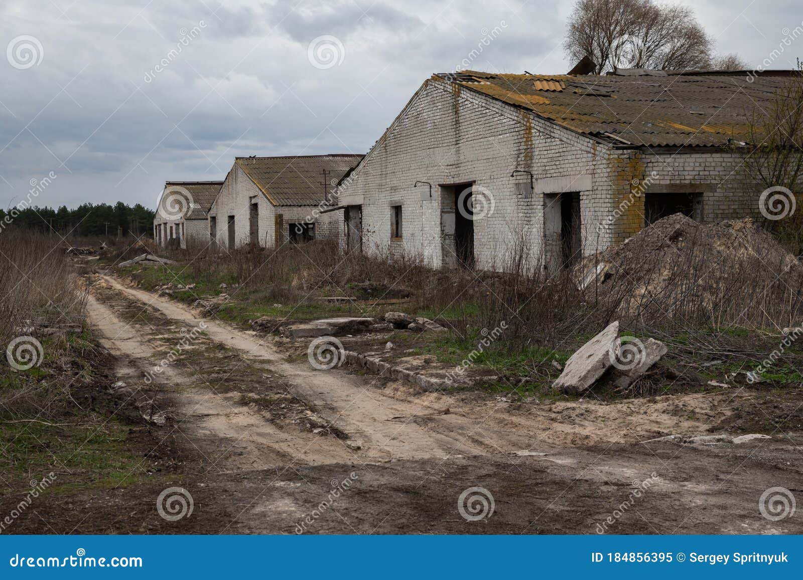 Interior of the Old Ruined Abandoned Barn for Cows. Destroyed ...
