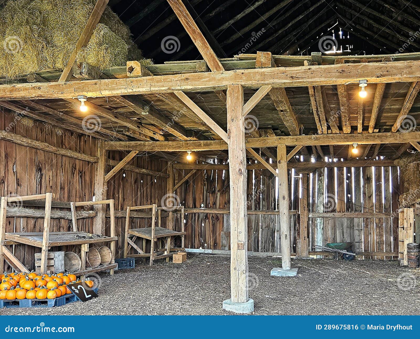Autumn Pumpkins in Old Barn Stock Photo - Image of beam, roof: 289675816 Autumn Pumpkins in Old Barn Stock Photo - Image of beam, roof: 289675816