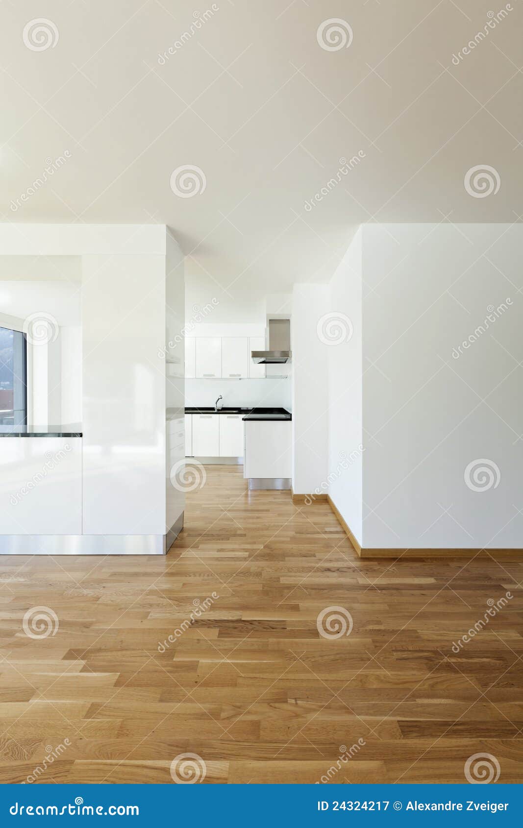Interior, open space stock image. Image of luxurious - 24324217