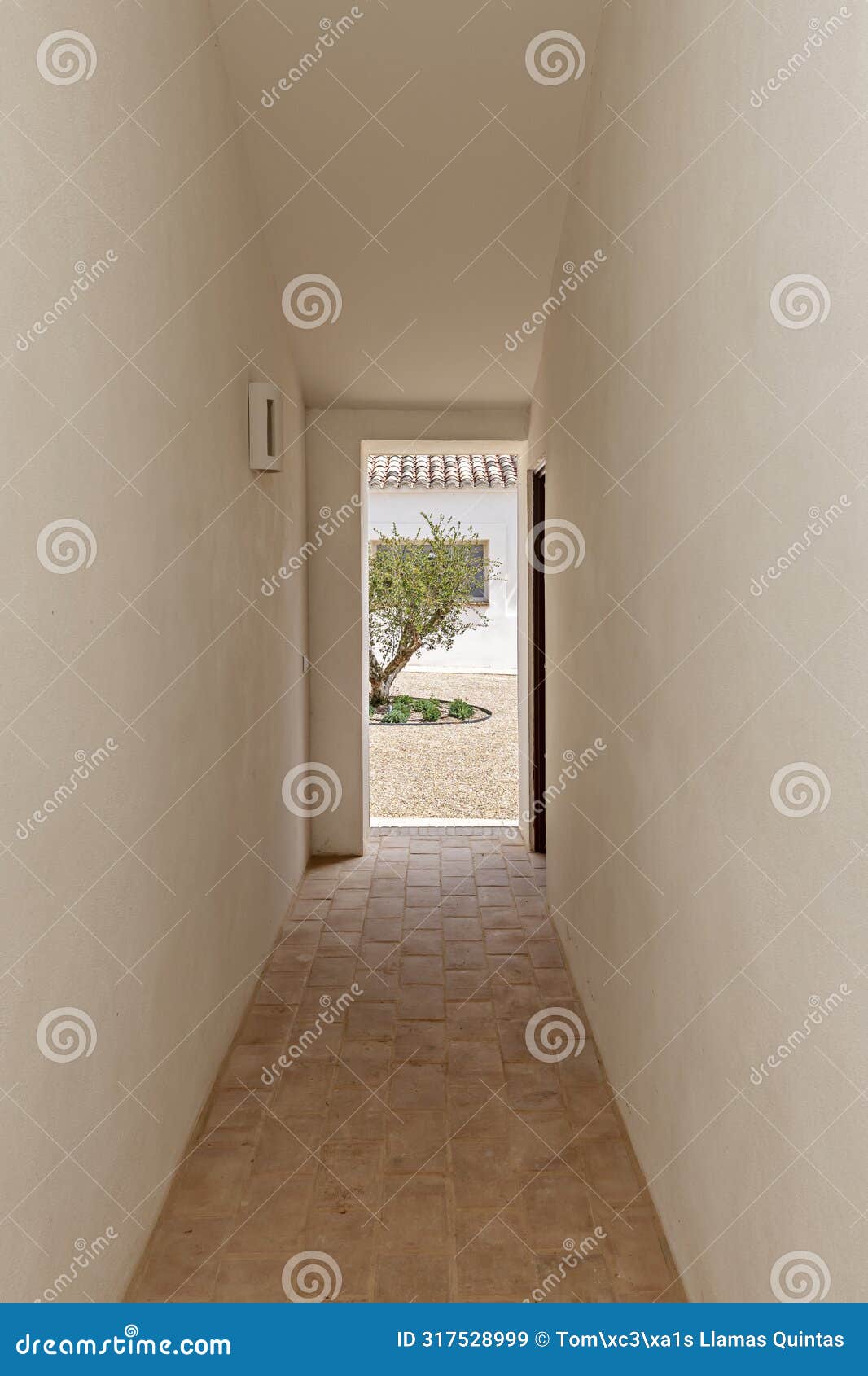 Interior Passageway with Smooth Walls and Terracotta Floors Overlooking a Decorative Olive Tree ...