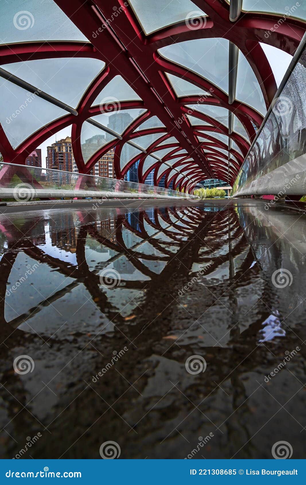 Interior Peace Bridge Puddle Reflections Editorial Image - Image of ...