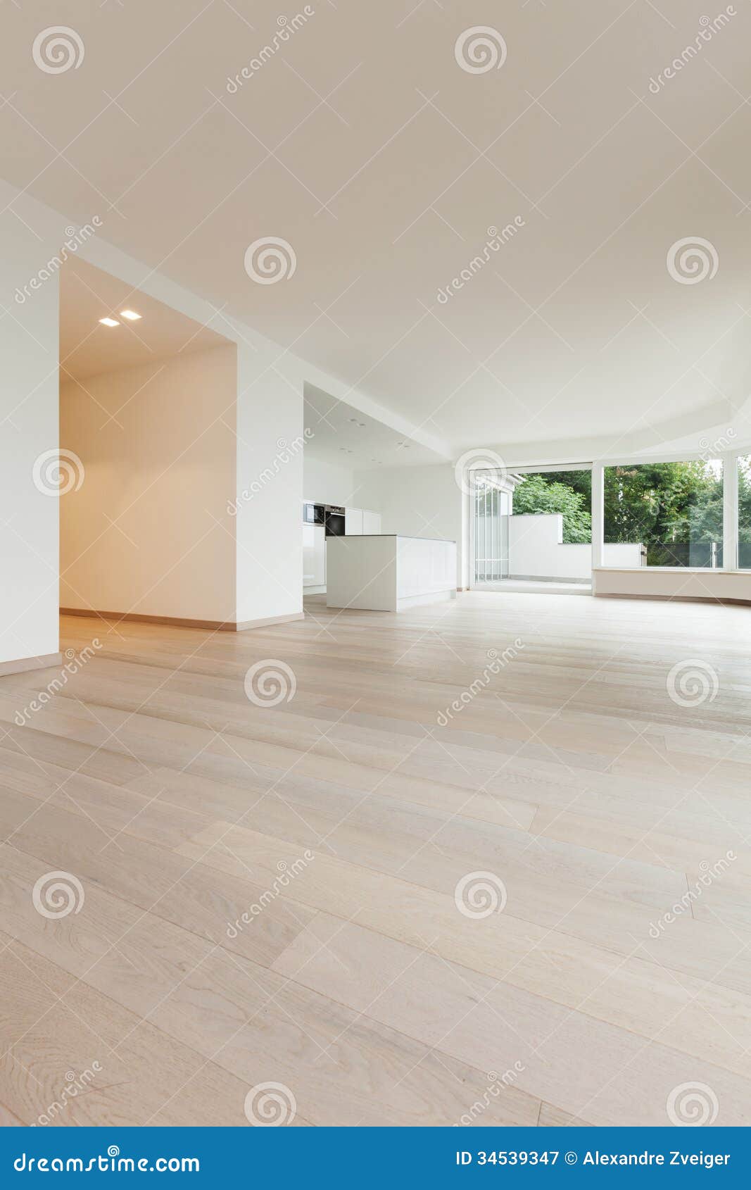 Interior, Penthouse Totally Empty Stock Image - Image of design, inside ...