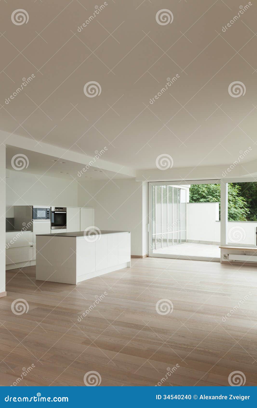 Interior, Penthouse Totally Empty Stock Photo - Image of luxury, style ...