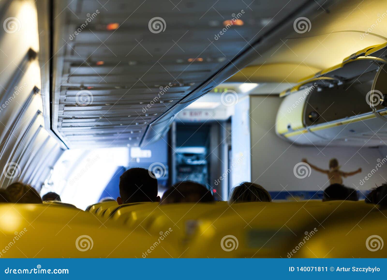 The Interior of the Plane with the Pilot in the Blurred Background ...