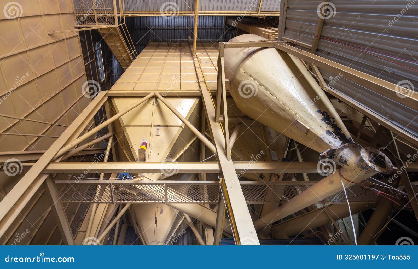 POULTRY FEED, Layer Chicken, Mass, Digestibility, Enzyme, Premix ...