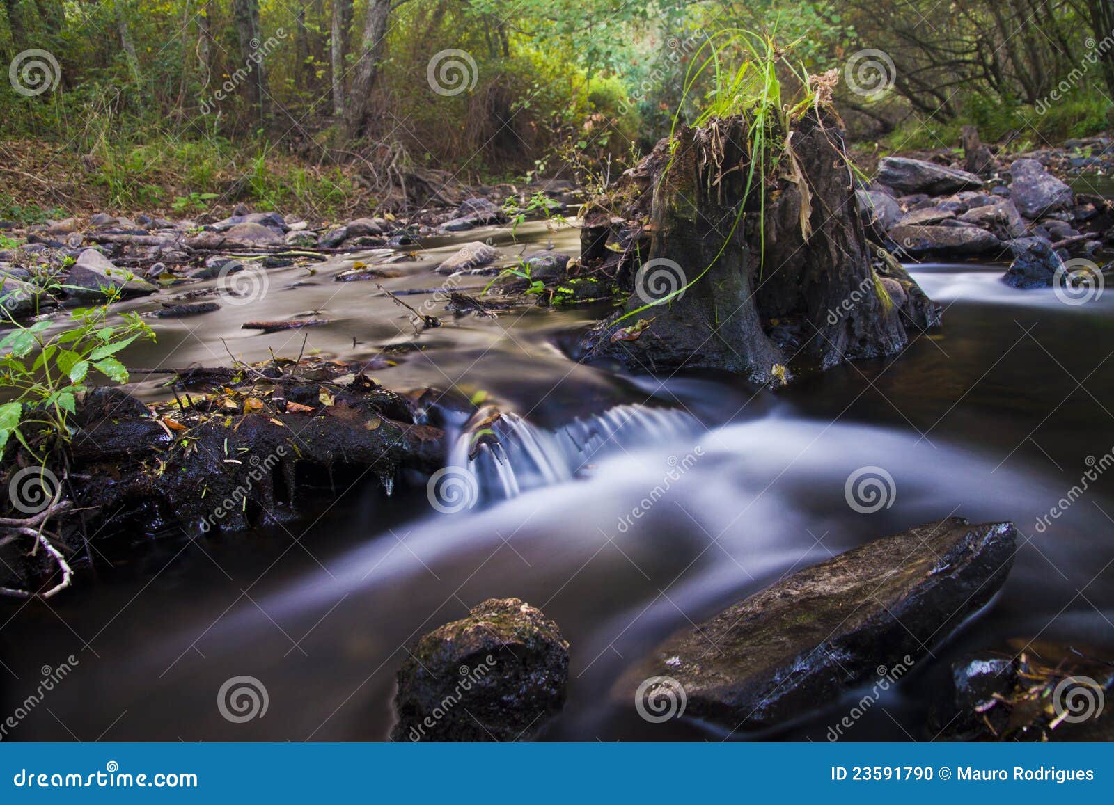 Interior river stock photo. Image of foliage, algarve - 23591790
