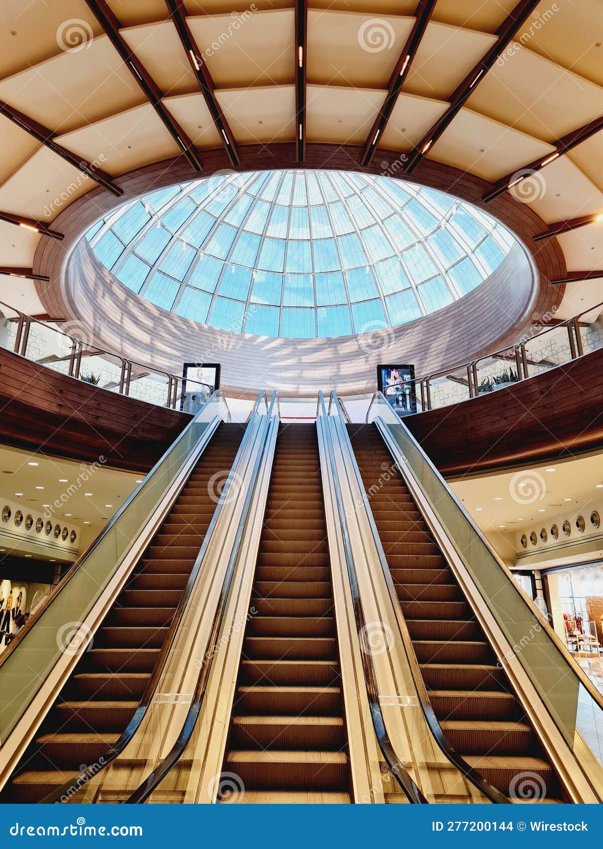 Interior Shot of Imposing and Futuristic Escalators with a Glass Dome ...