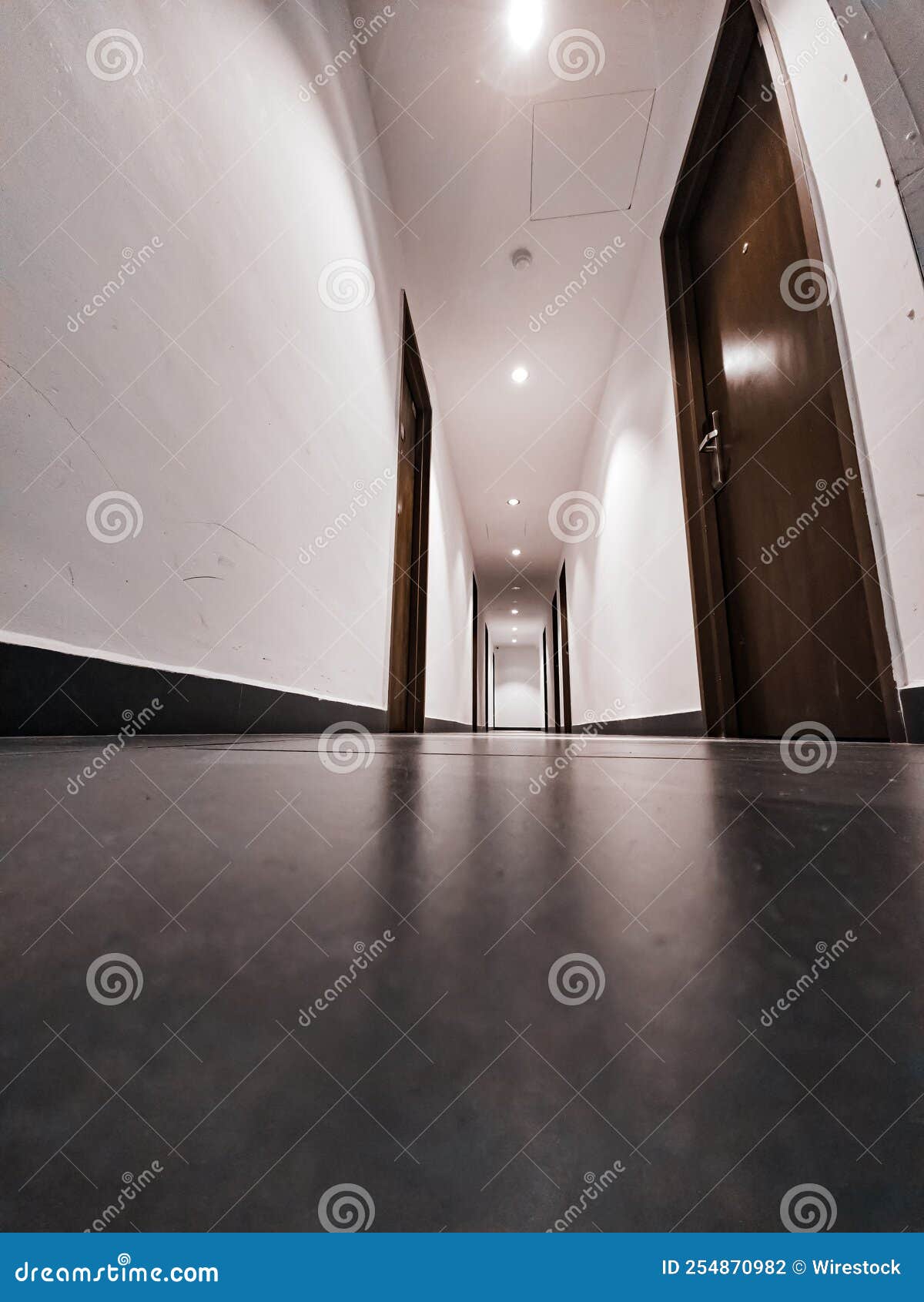 Interior of a Simple Minimalist Hotel Corridor. Stock Photo - Image of ...