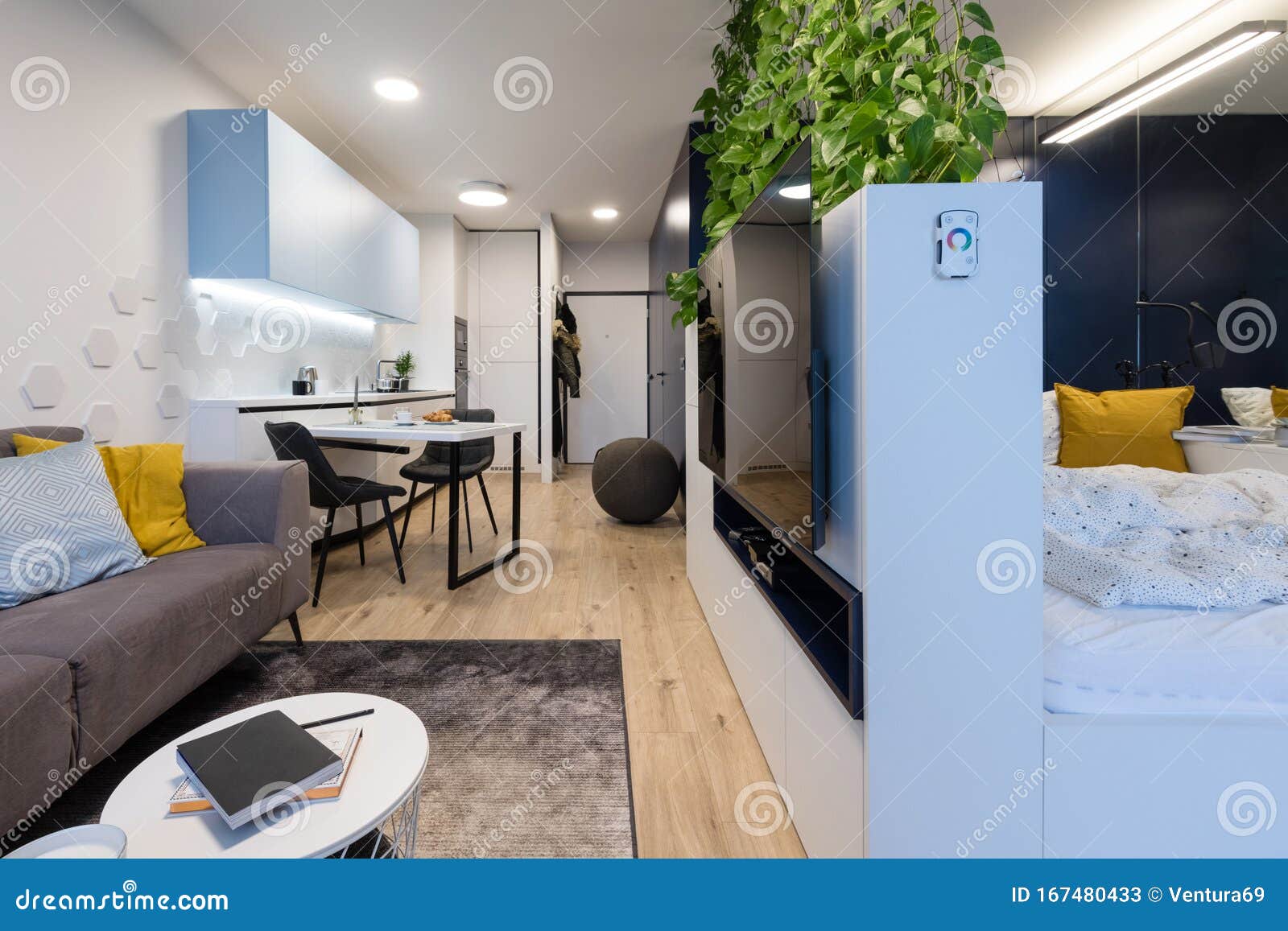 Interior of Small Modern Apartment Stock Image - Image of ball, living ...