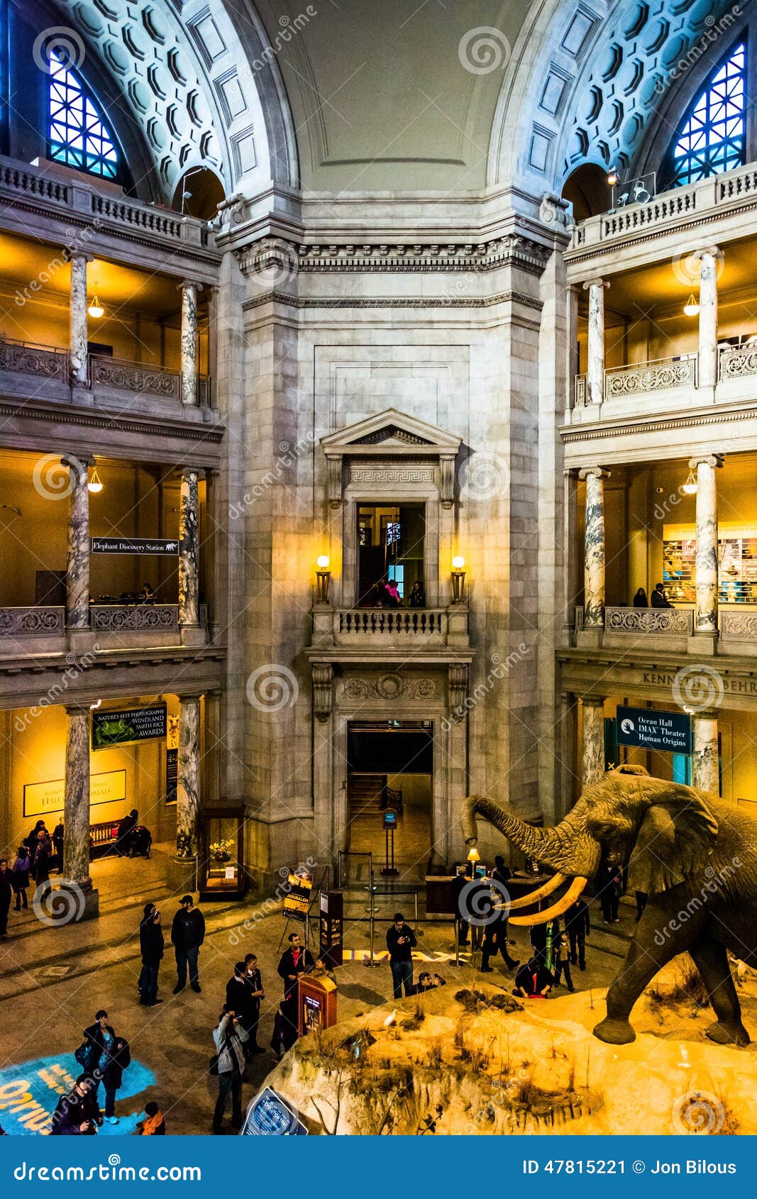 The Interior of the Smithsonian Museum of Natural History, in Wa ...