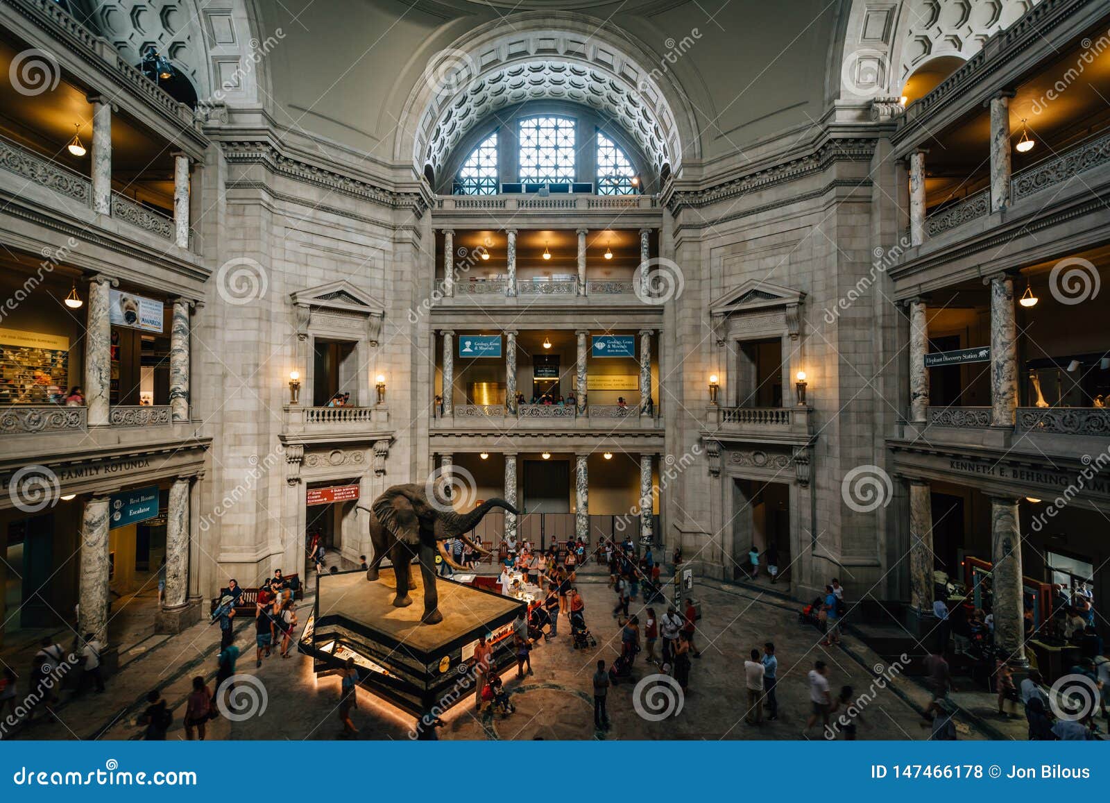 The Interior of the Smithsonian National Museum of Natural History in ...