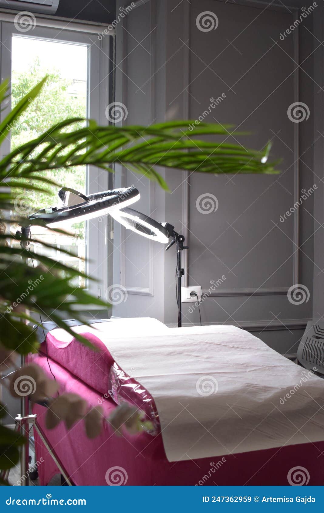 The Interior of the Studio for Aesthetic Services Stock Image - Image ...