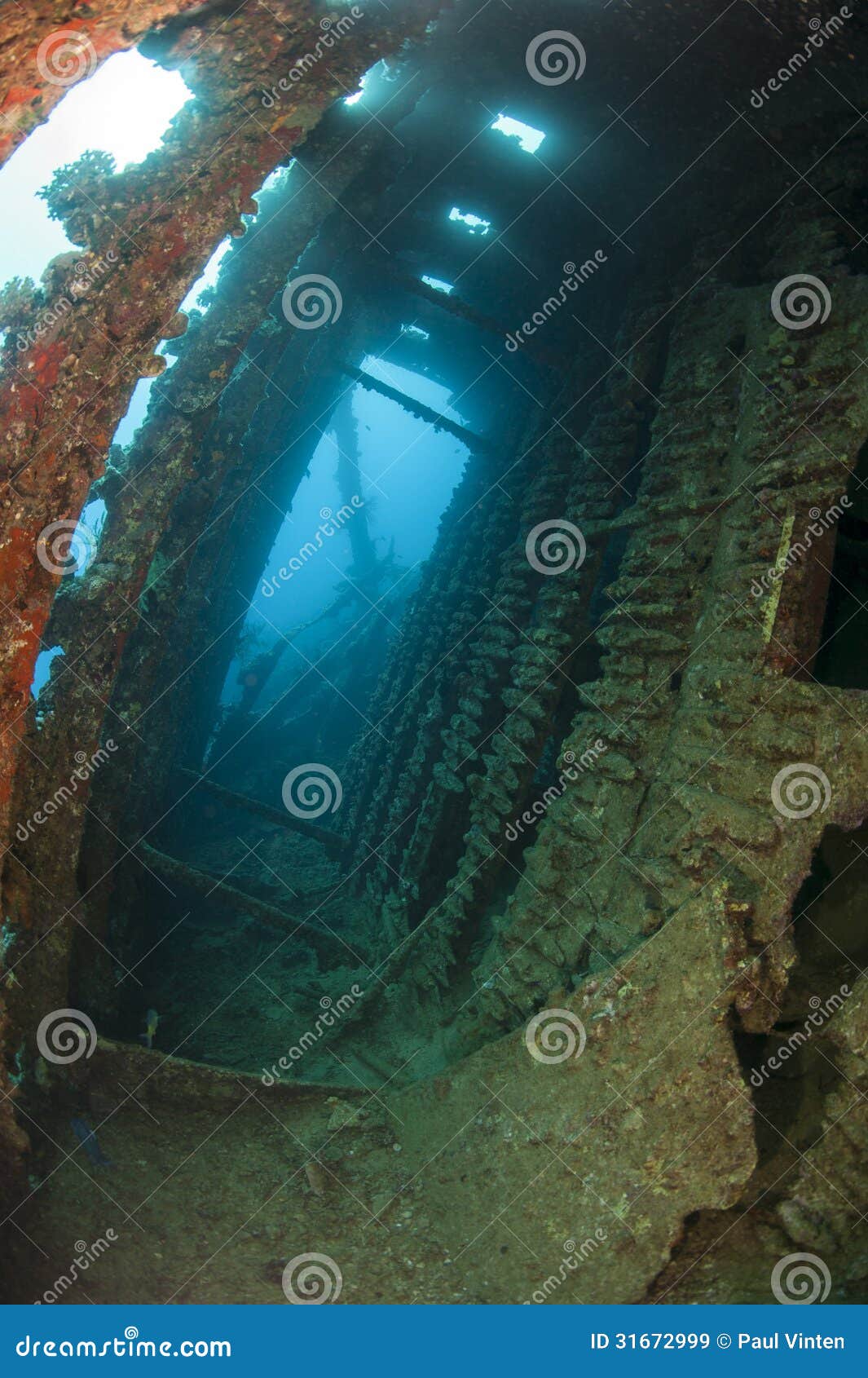Interior of an Underwater Shipwreck Stock Image - Image of derelict ...