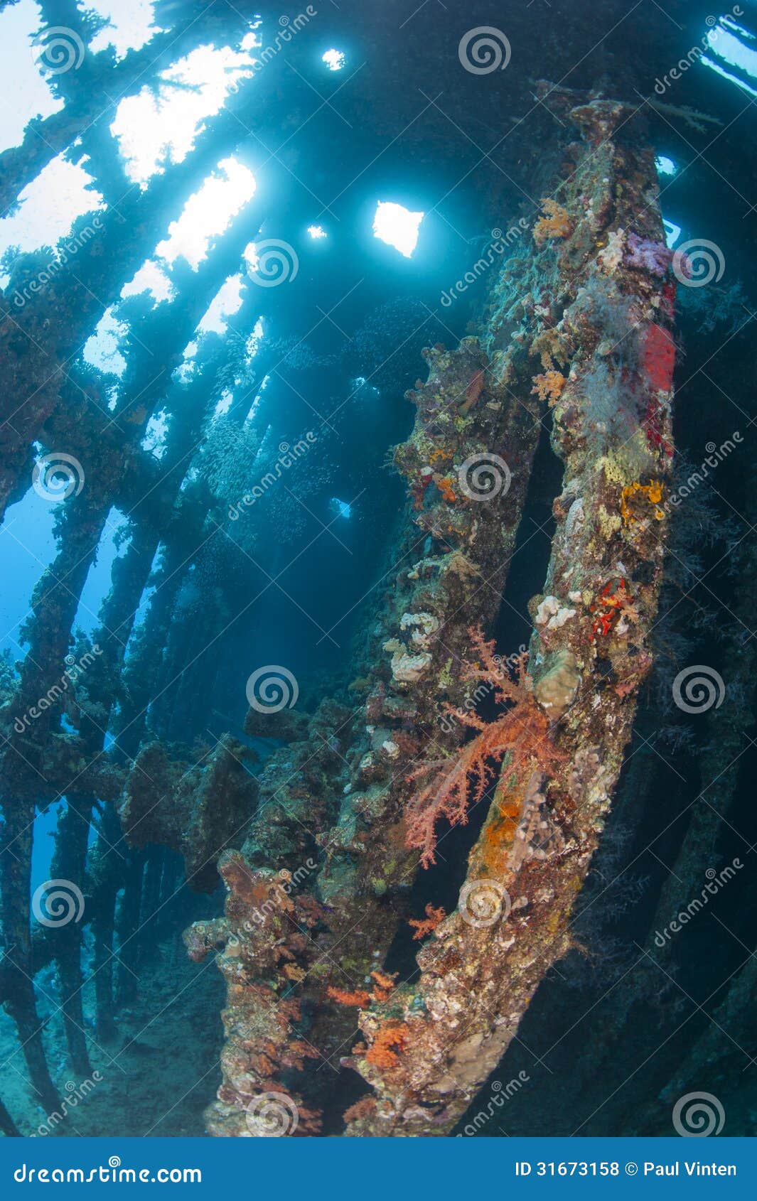 Interior of an Underwater Shipwreck Stock Photo - Image of carnatic ...