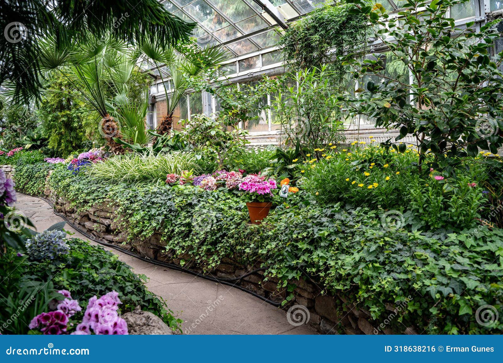 Interior View of Allan Gardens Conservatory. Plants and Flowers at ...