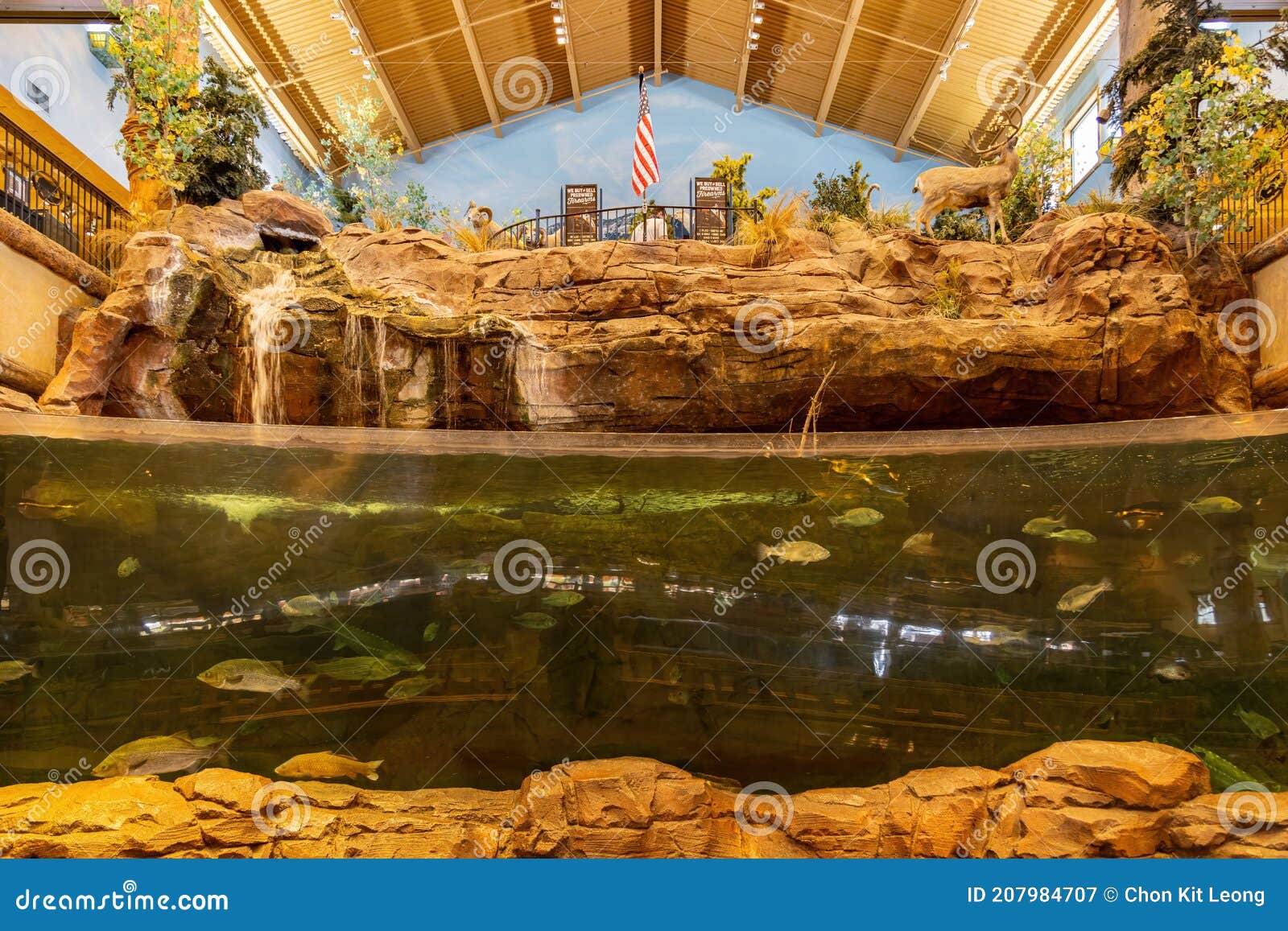 Interior View of the Bass Pro Shops Editorial Photography - Image of ...