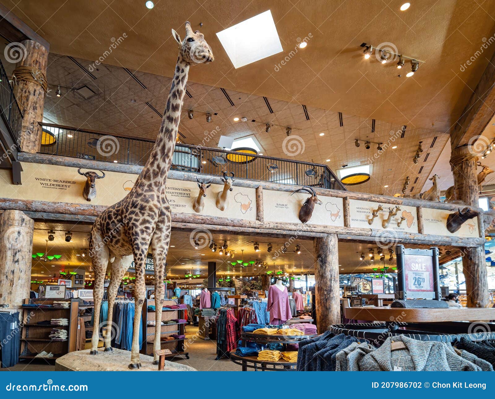 Interior View of the Bass Pro Shops Editorial Photography - Image of ...