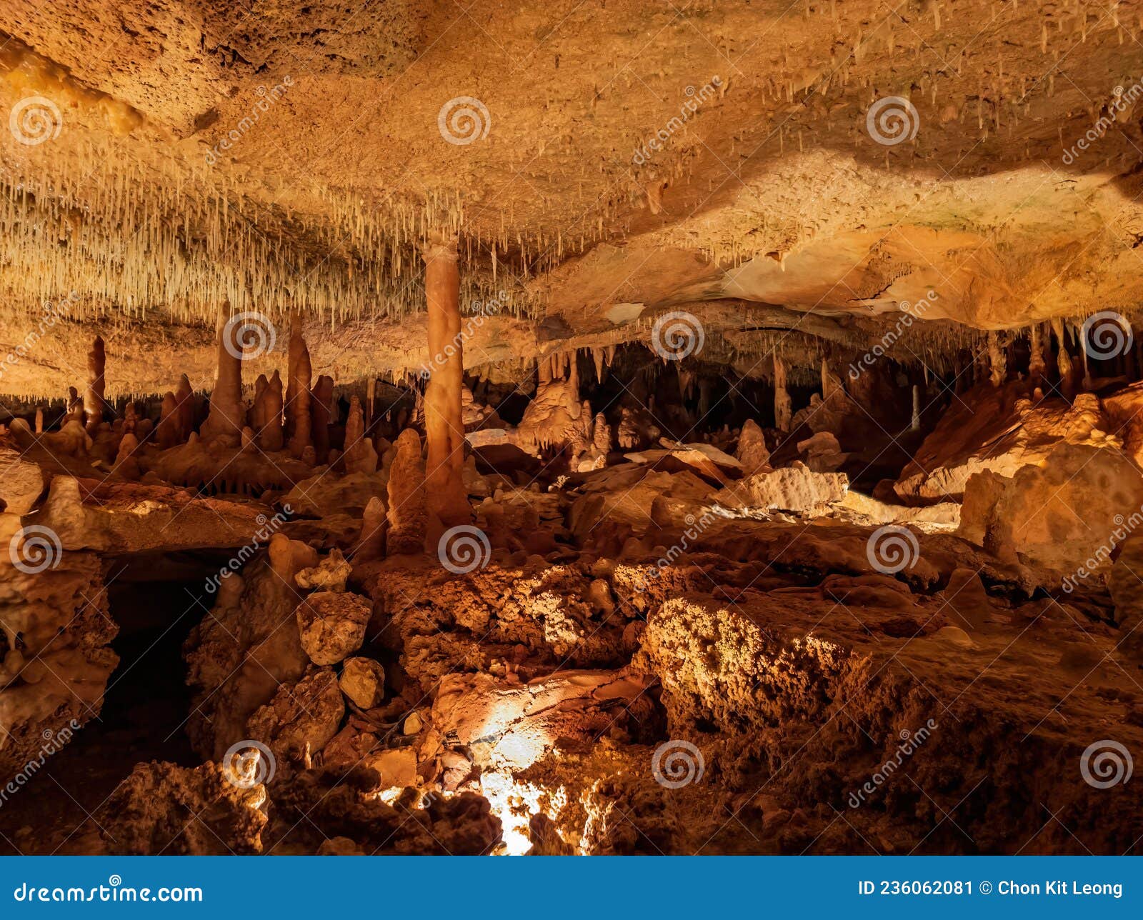 Interior View of the Cave of Inner Space Cavern Stock Image - Image of ...