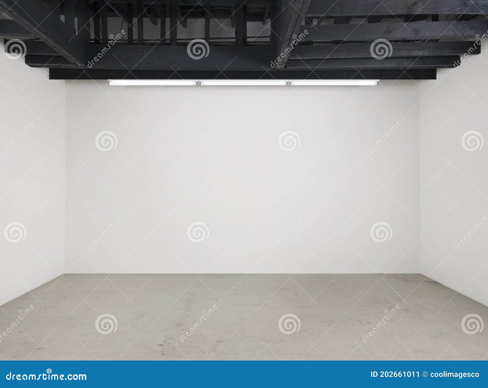 An Interior View of an Empty Art Gallery Stock Image - Image of ...