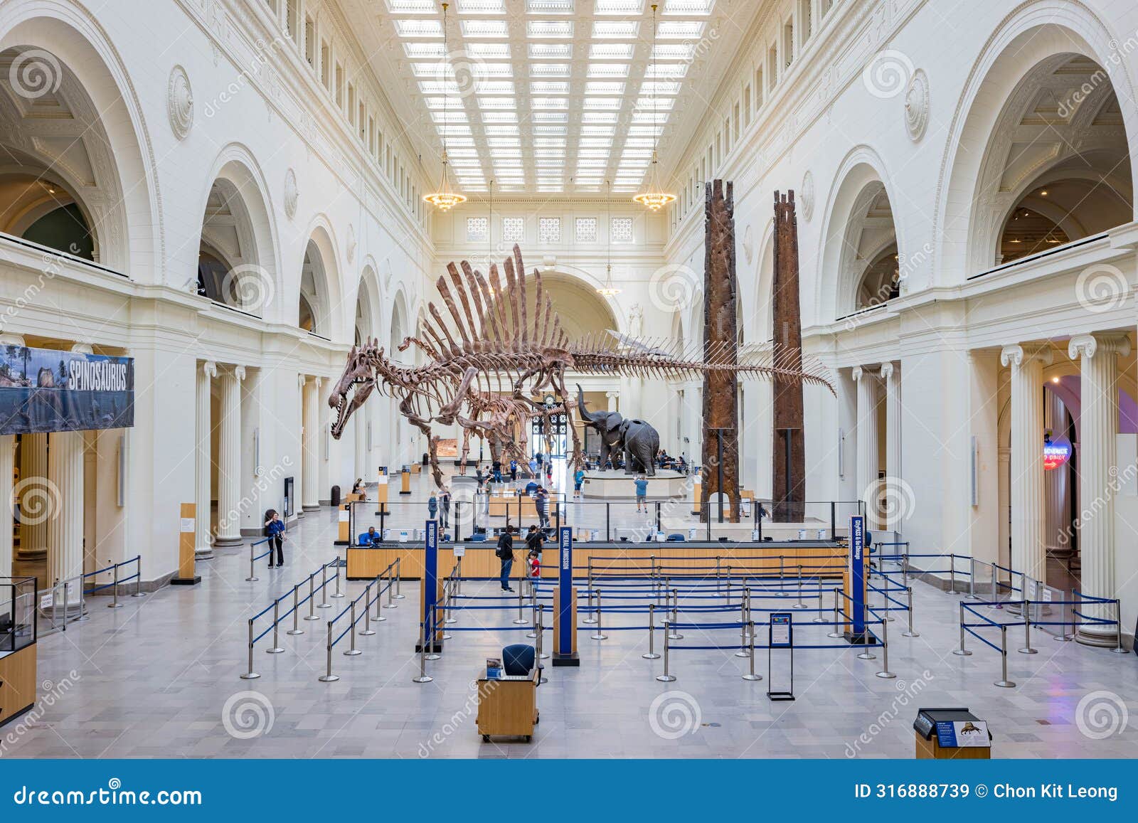 Interior View of the Field Museum Editorial Stock Image - Image of ...