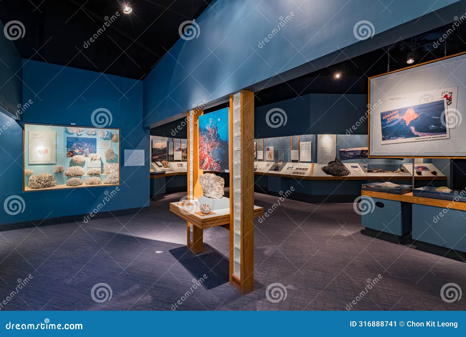 Interior View of the Field Museum Editorial Photo - Image of chicago ...