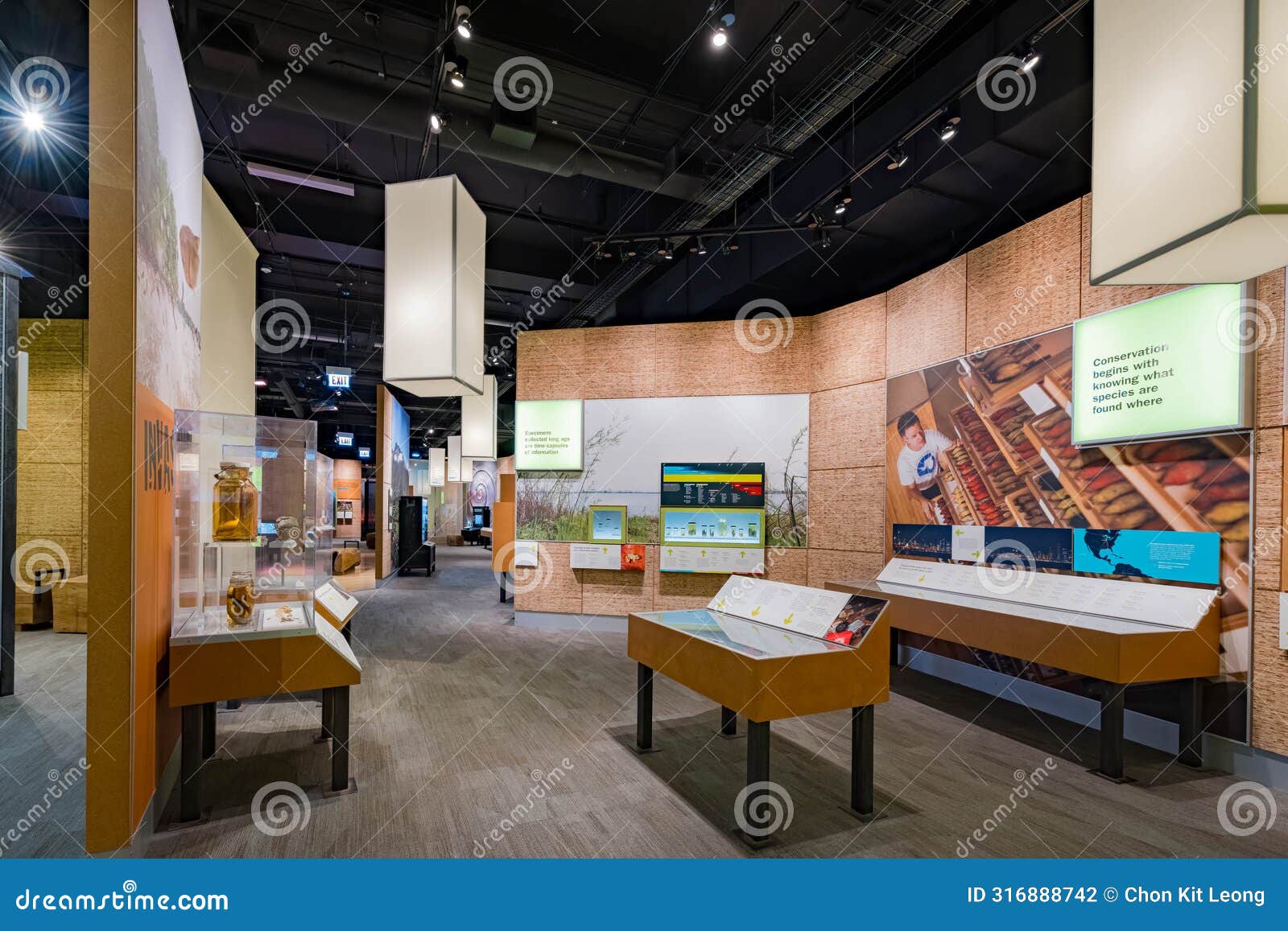 Interior View of the Field Museum Editorial Photography - Image of ...