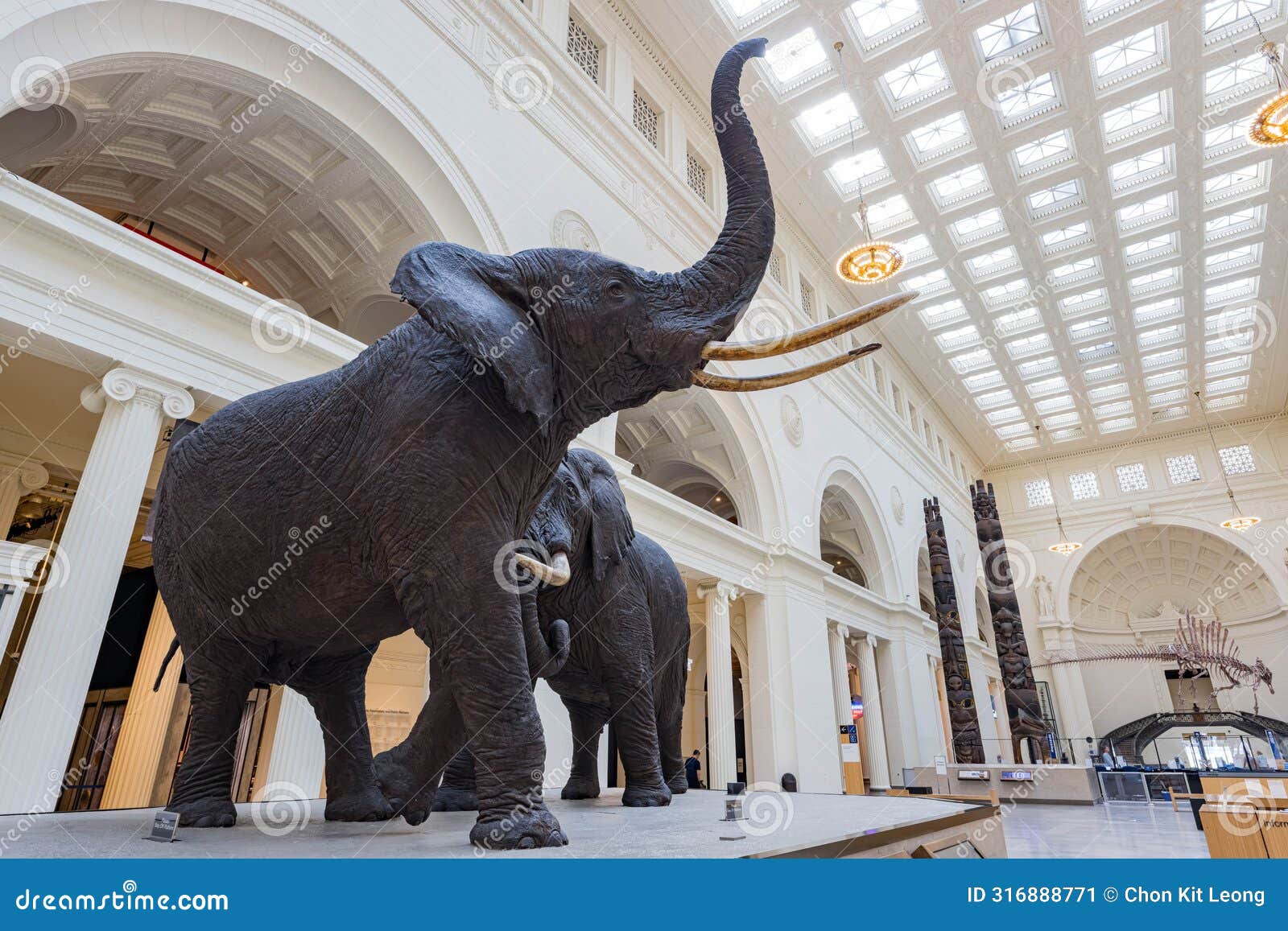 Interior View of the Field Museum Editorial Photo - Image of people ...