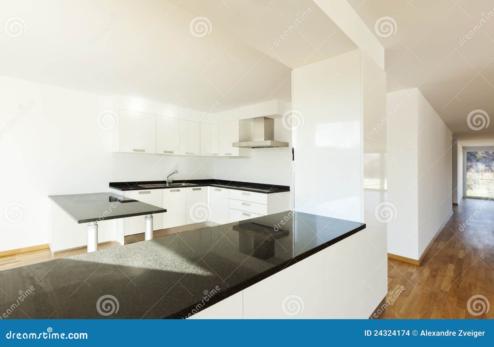 Interior, View of the Kitchen Stock Photo - Image of kitchen, housing ...