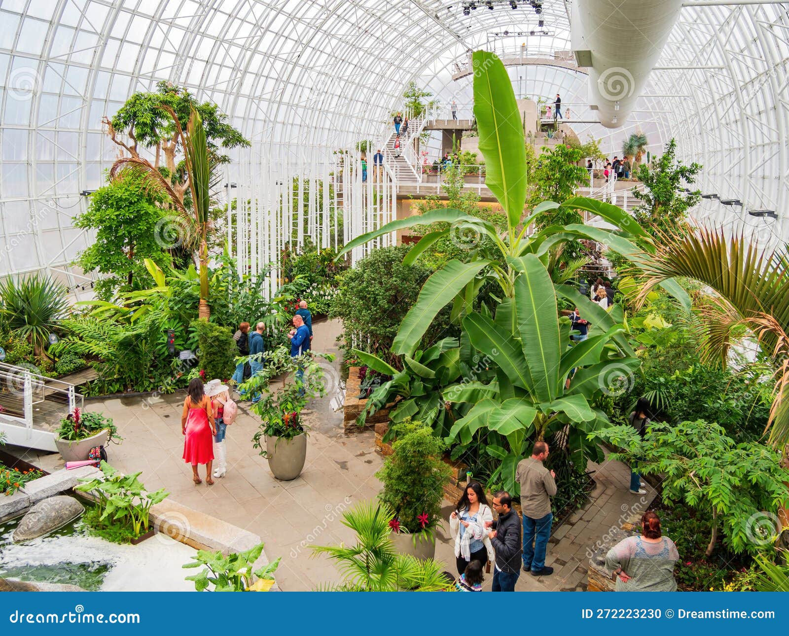 Interior View of the Myriad Botanical Gardens Editorial Image - Image ...