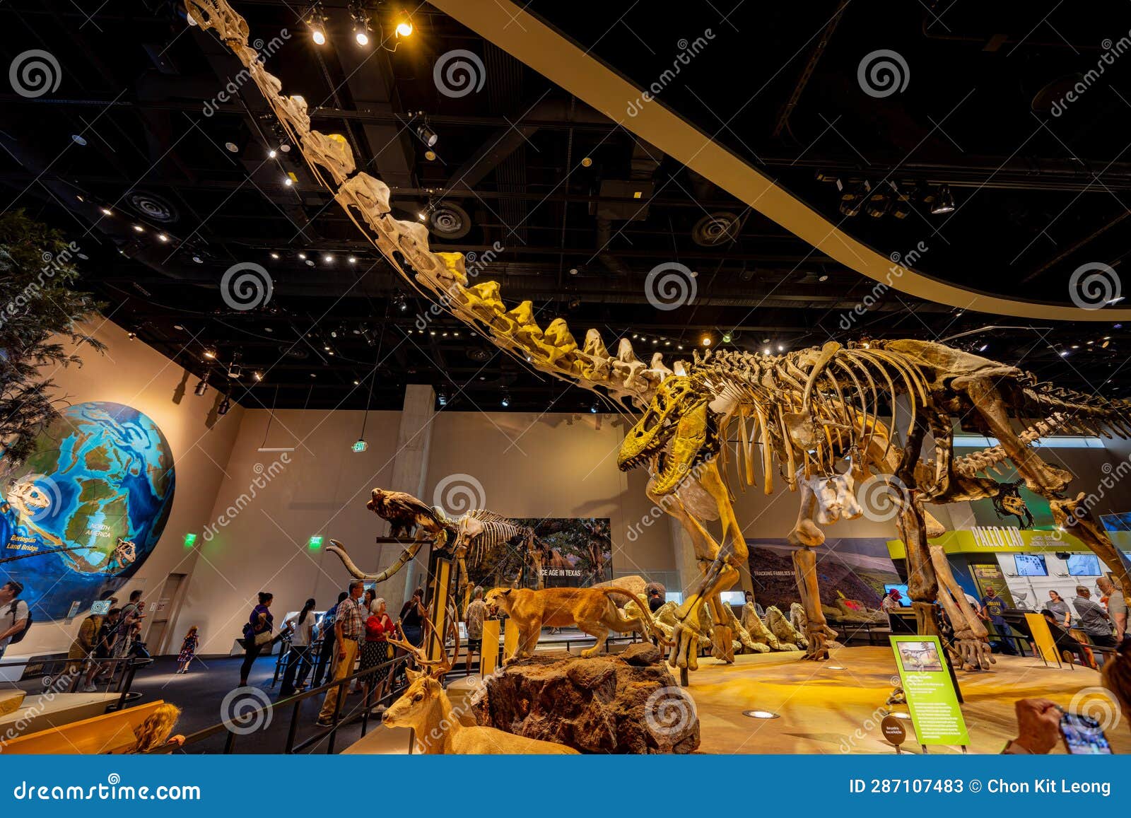 Interior View of the Perot Museum of Nature and Science Editorial Stock ...