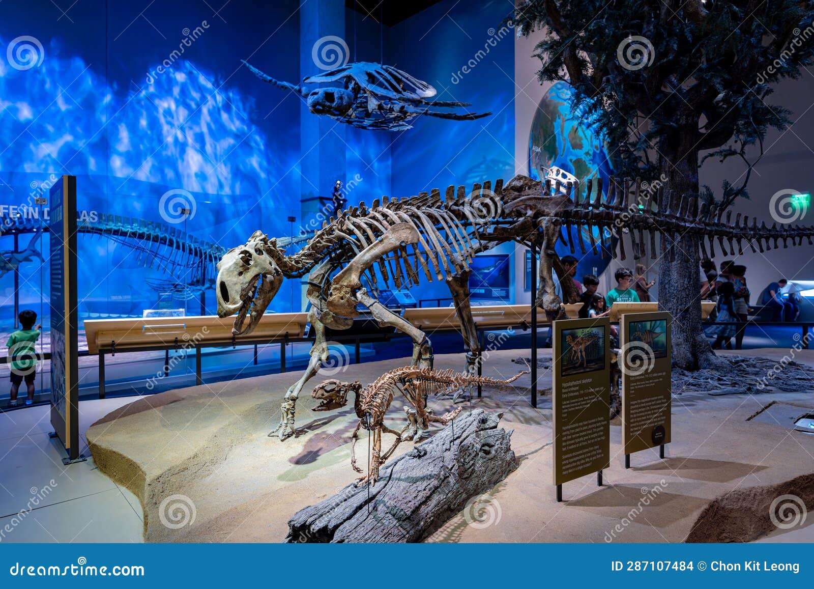 Interior View of the Perot Museum of Nature and Science Editorial Stock ...