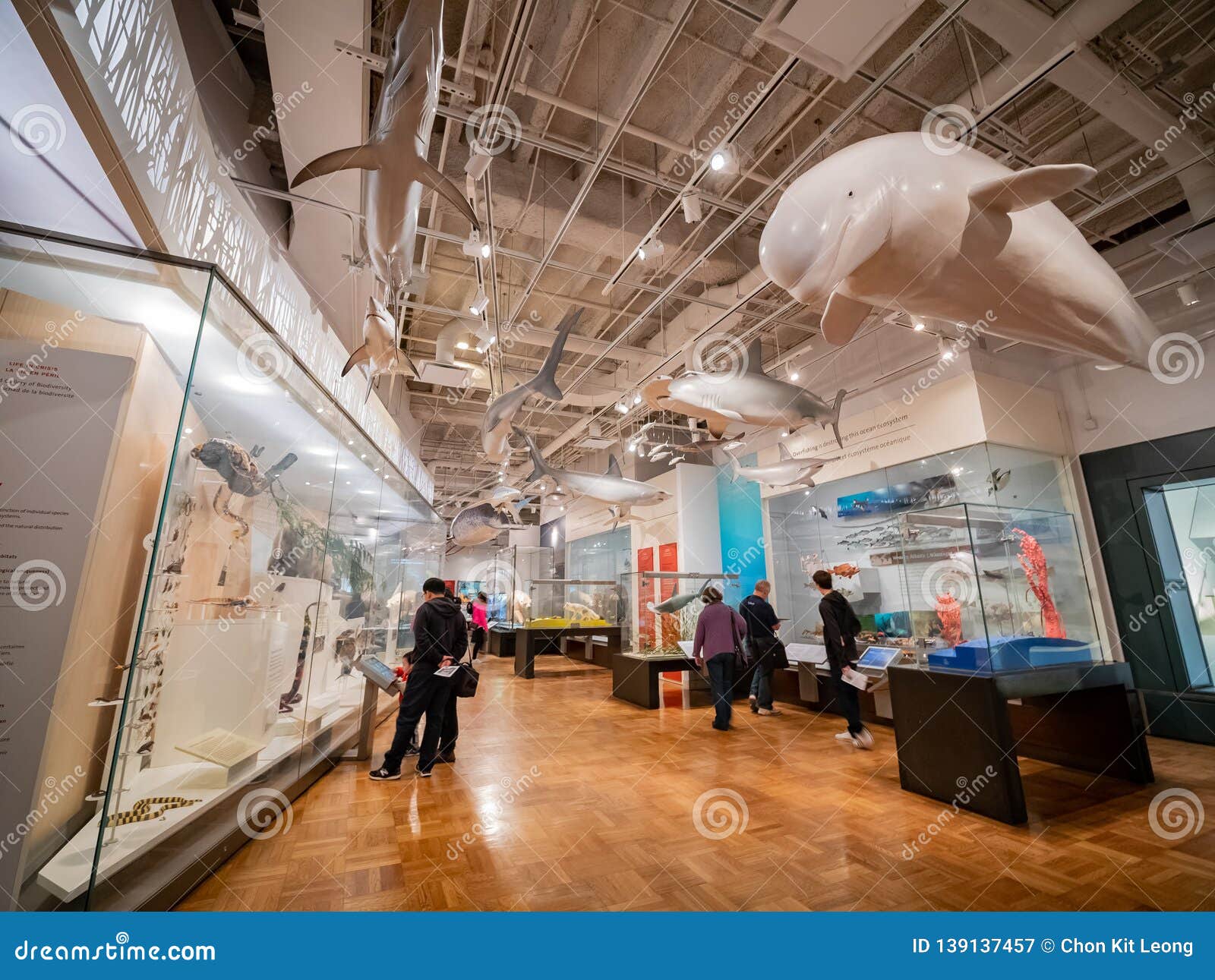 Interior View of the Royal Ontario Museum Editorial Photography - Image ...