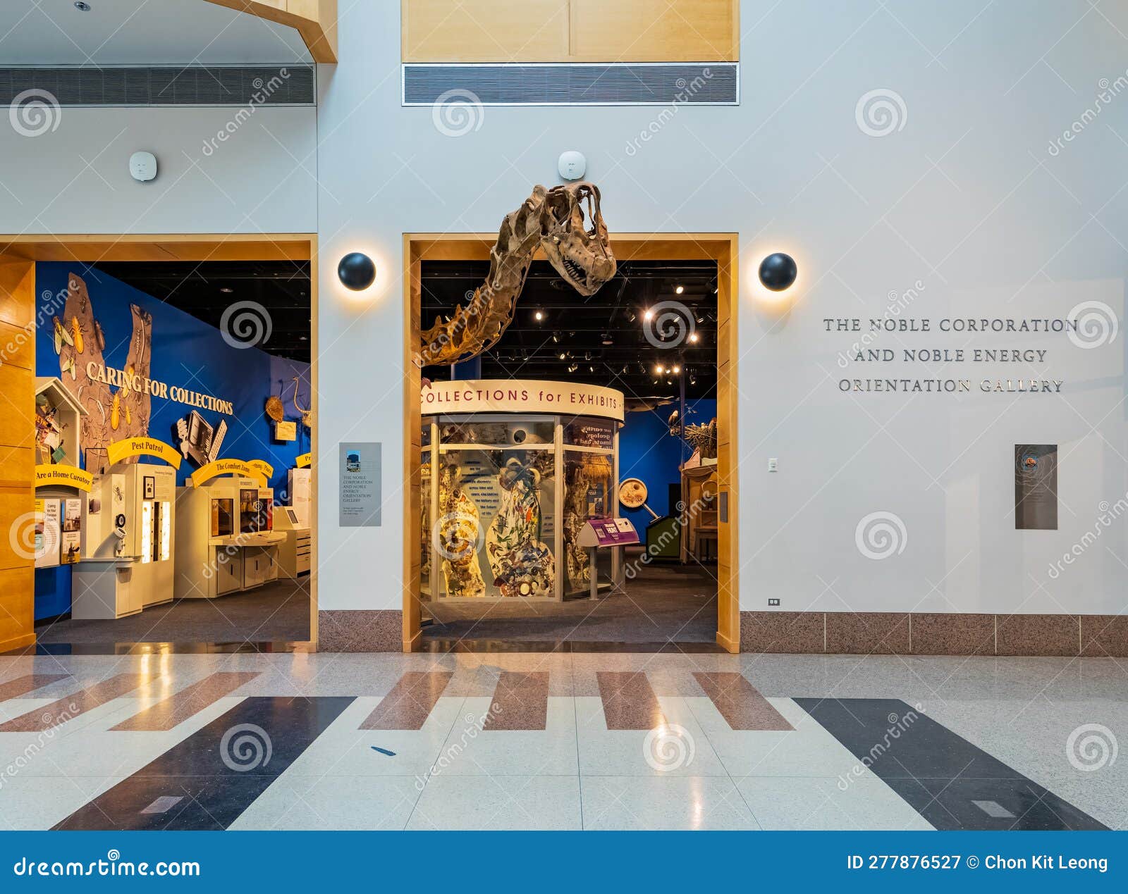 Interior View of the Sam Noble Oklahoma Museum of Natural History ...
