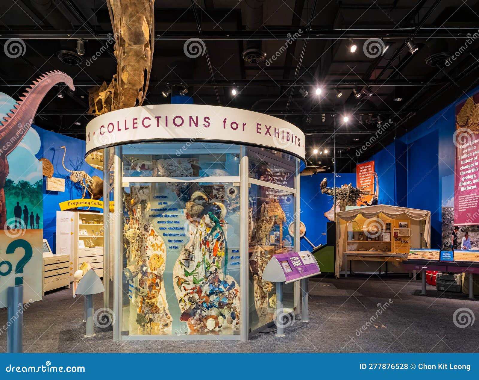 Interior View of the Sam Noble Oklahoma Museum of Natural History ...