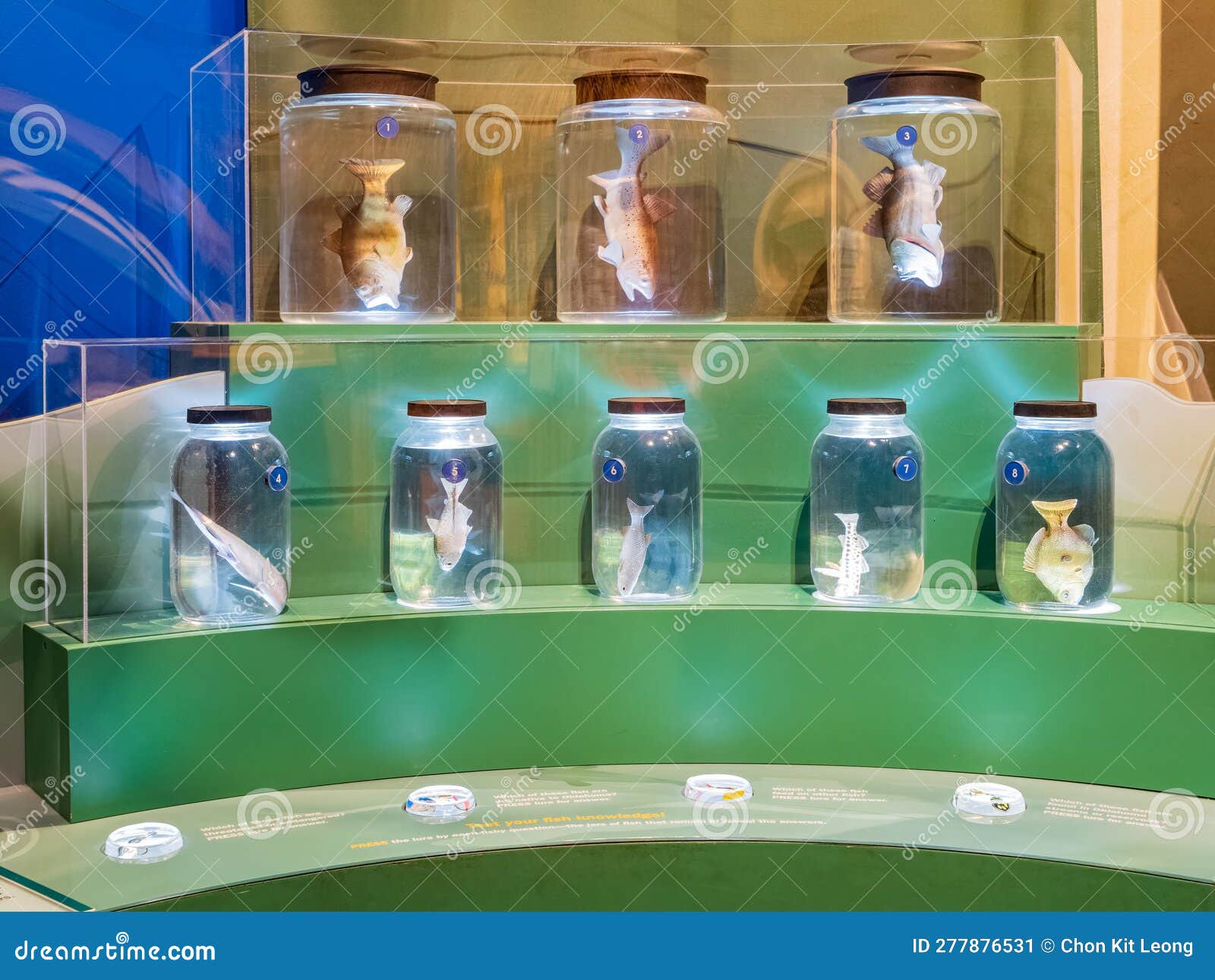 Interior View of the Sam Noble Oklahoma Museum of Natural History ...
