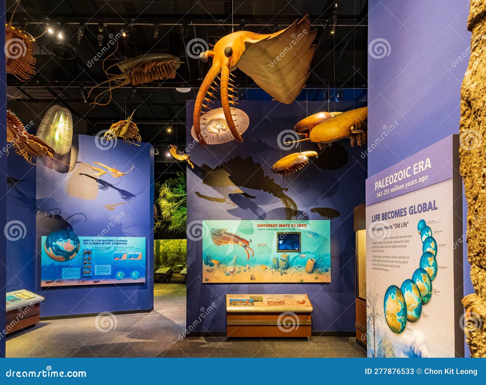Interior View of the Sam Noble Oklahoma Museum of Natural History ...