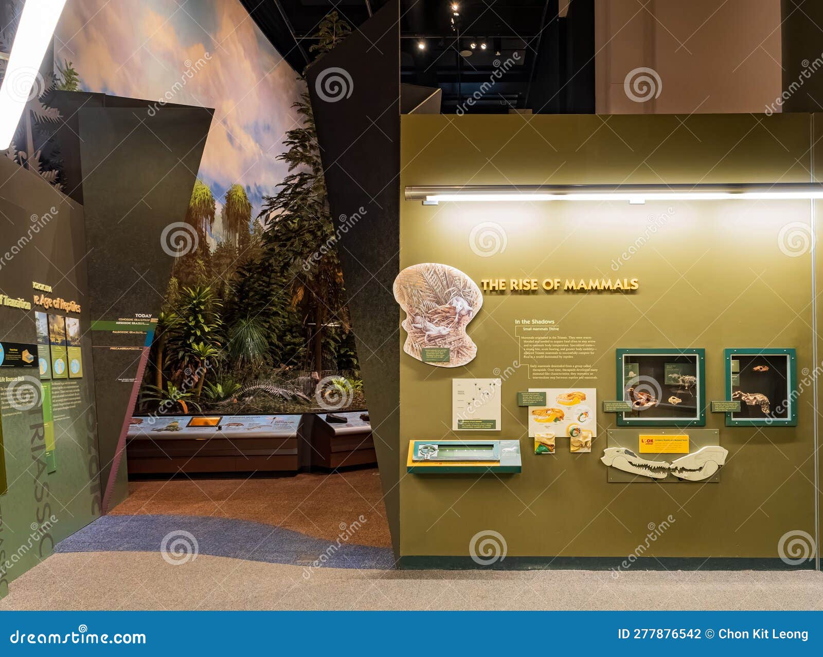 Interior View of the Sam Noble Oklahoma Museum of Natural History ...