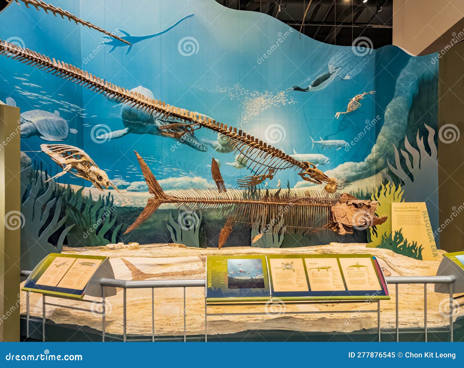 Interior View of the Sam Noble Oklahoma Museum of Natural History ...