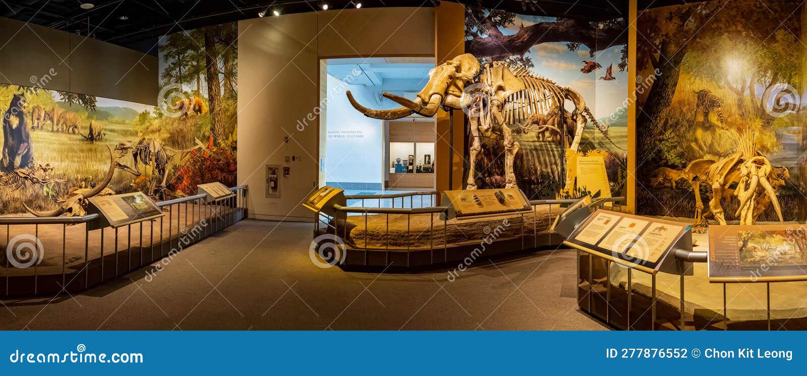 Interior View of the Sam Noble Oklahoma Museum of Natural History ...