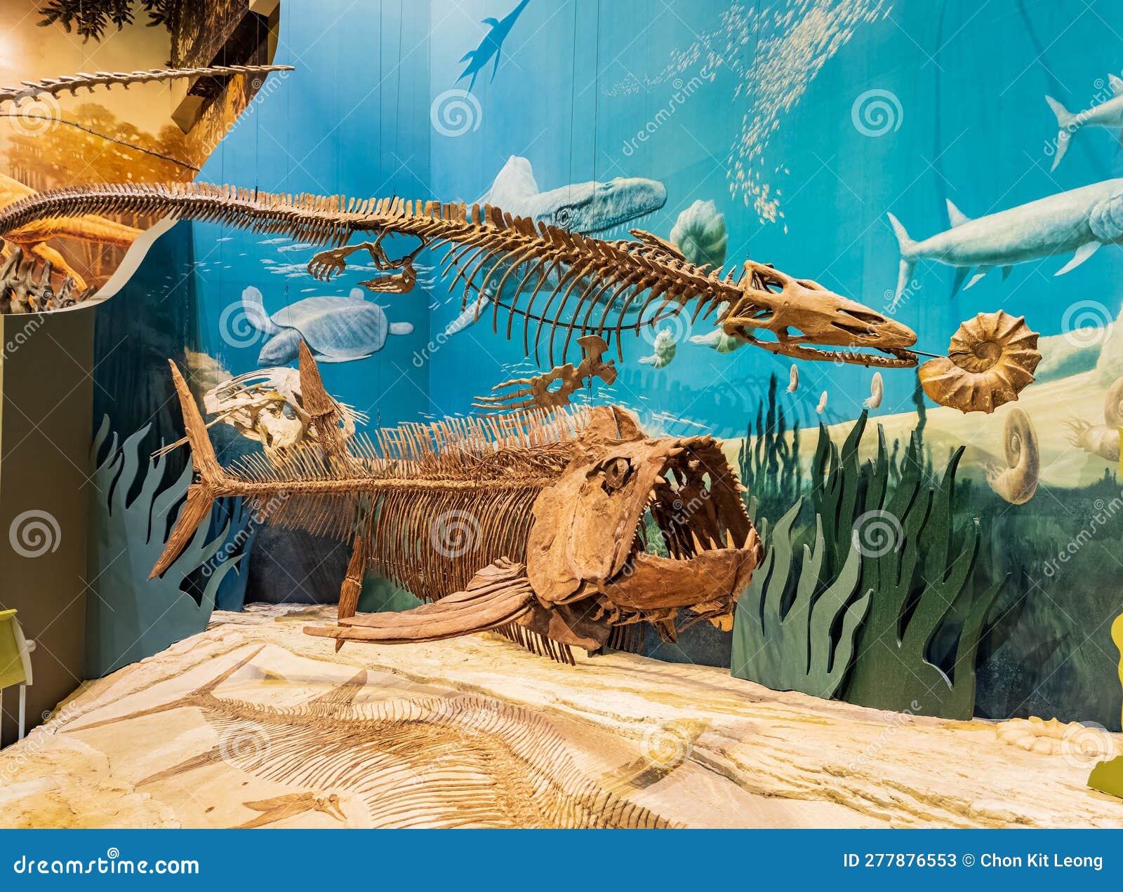 Interior View of the Sam Noble Oklahoma Museum of Natural History ...