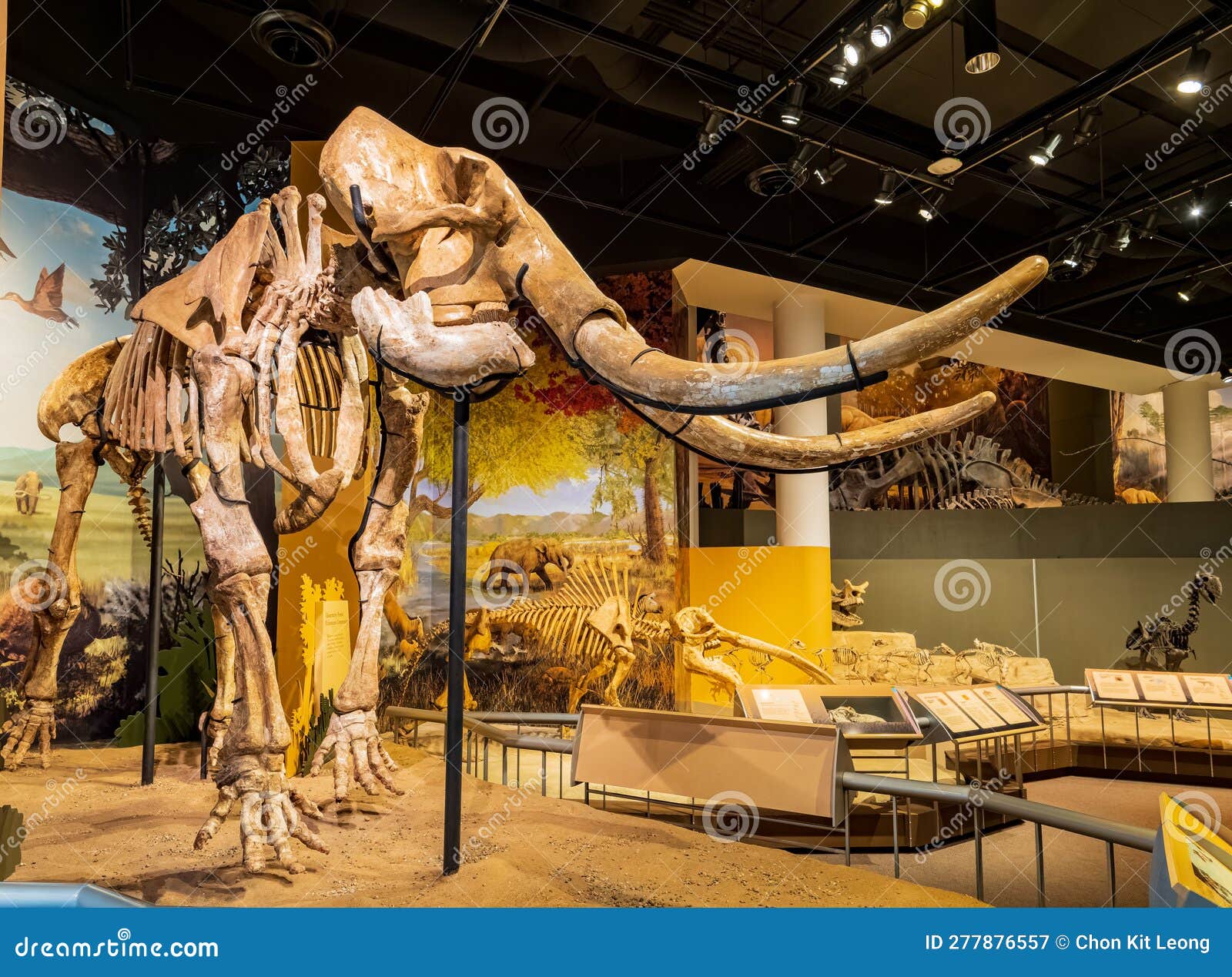 Interior View of the Sam Noble Oklahoma Museum of Natural History ...