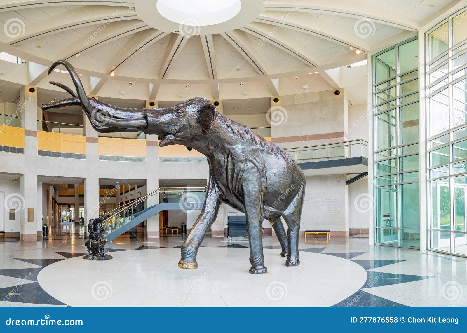 Interior View of the Sam Noble Oklahoma Museum of Natural History ...