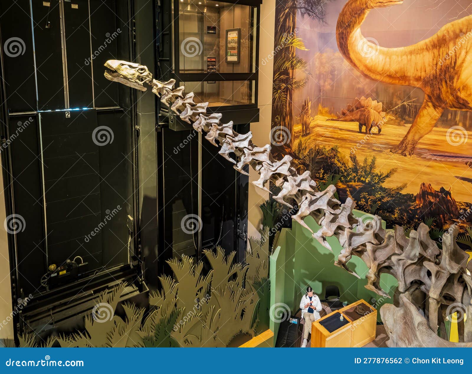 Interior View of the Sam Noble Oklahoma Museum of Natural History ...