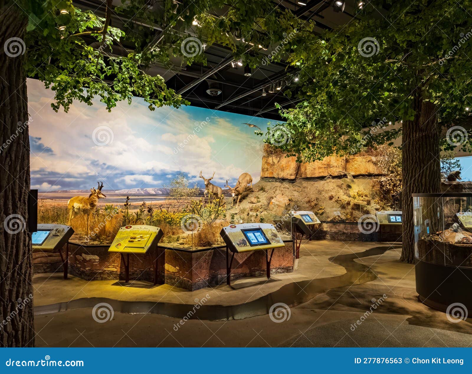 Interior View of the Sam Noble Oklahoma Museum of Natural History ...