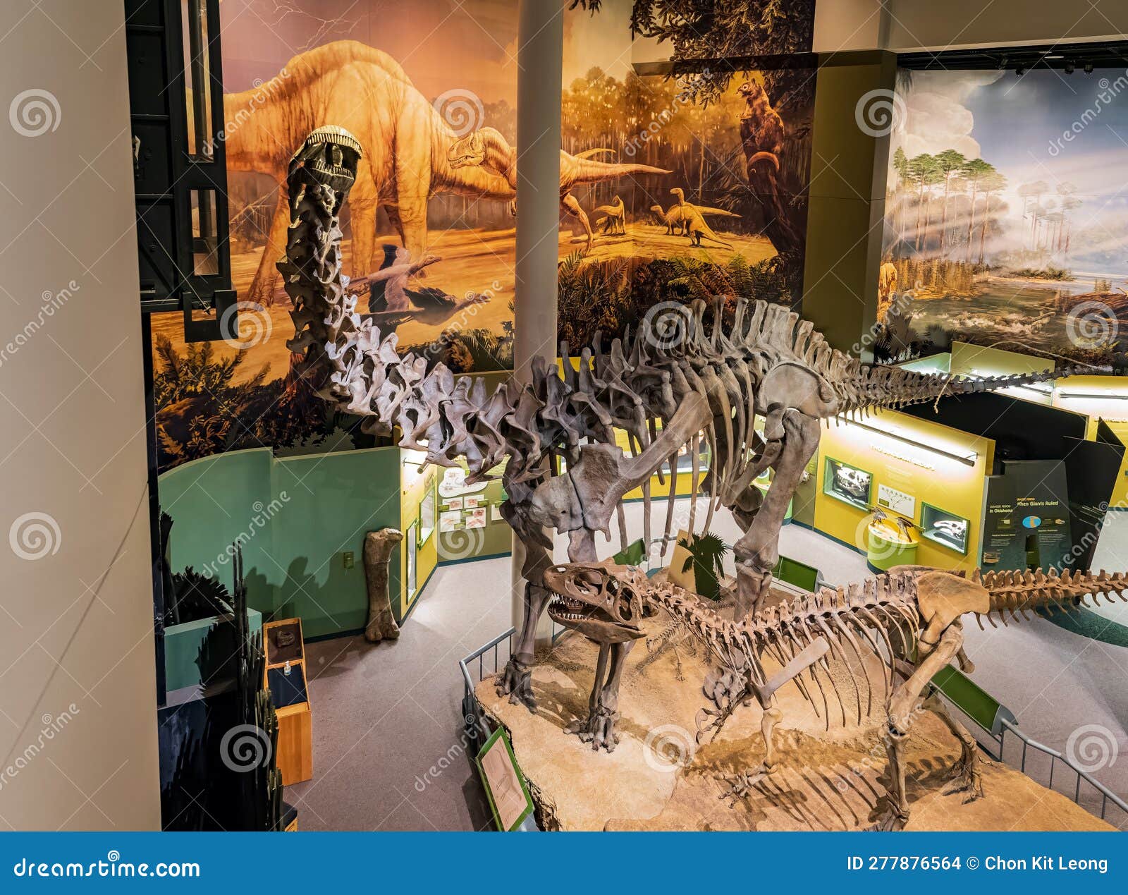 Interior View of the Sam Noble Oklahoma Museum of Natural History ...
