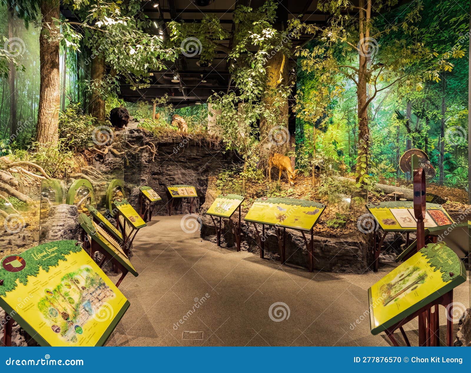 Interior View of the Sam Noble Oklahoma Museum of Natural History ...