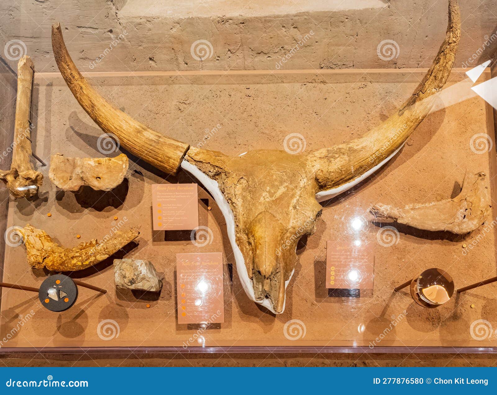 Interior View of the Sam Noble Oklahoma Museum of Natural History ...