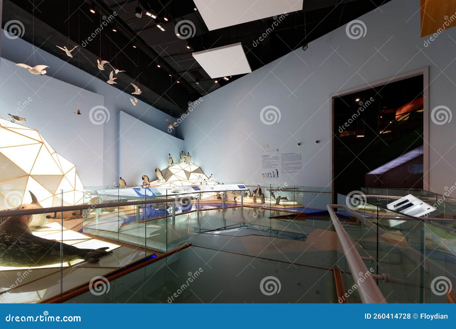 Shanghai Natural Wild Insect Kingdom China Editorial Image ...