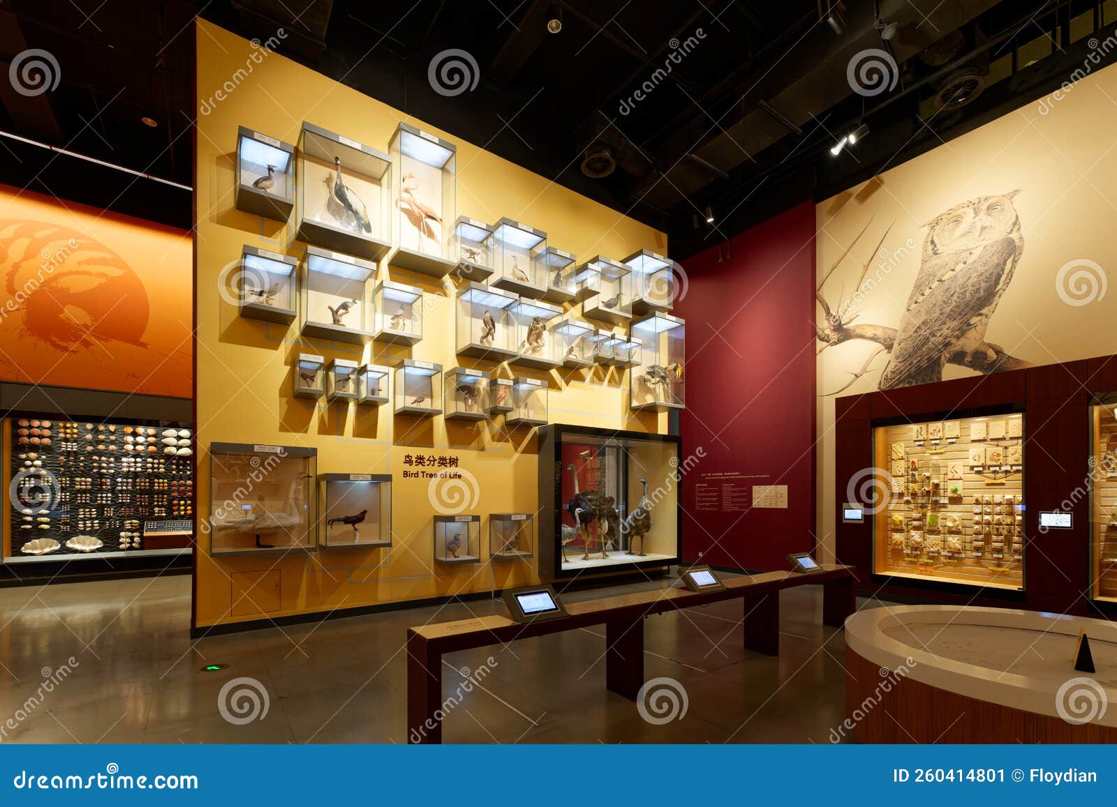 Shanghai Natural Wild Insect Kingdom China Editorial Image ...