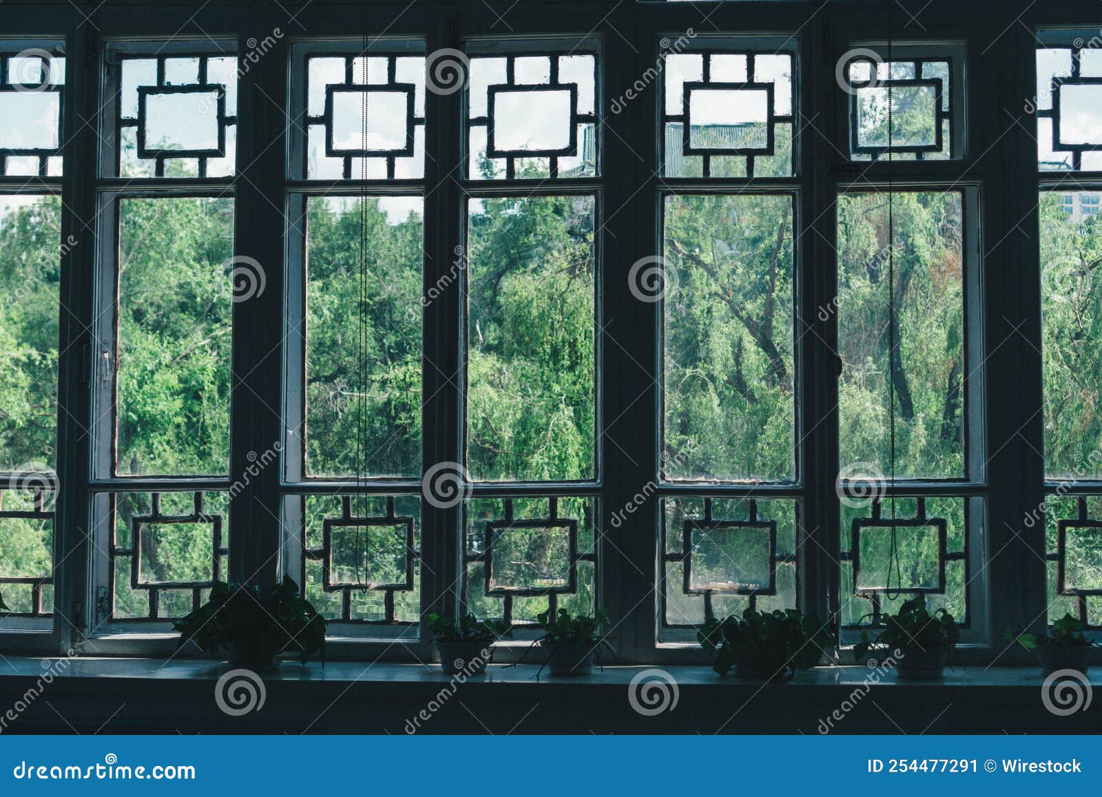 Interior View of Windows with Multiple Frames and Plants on Windowsill ...